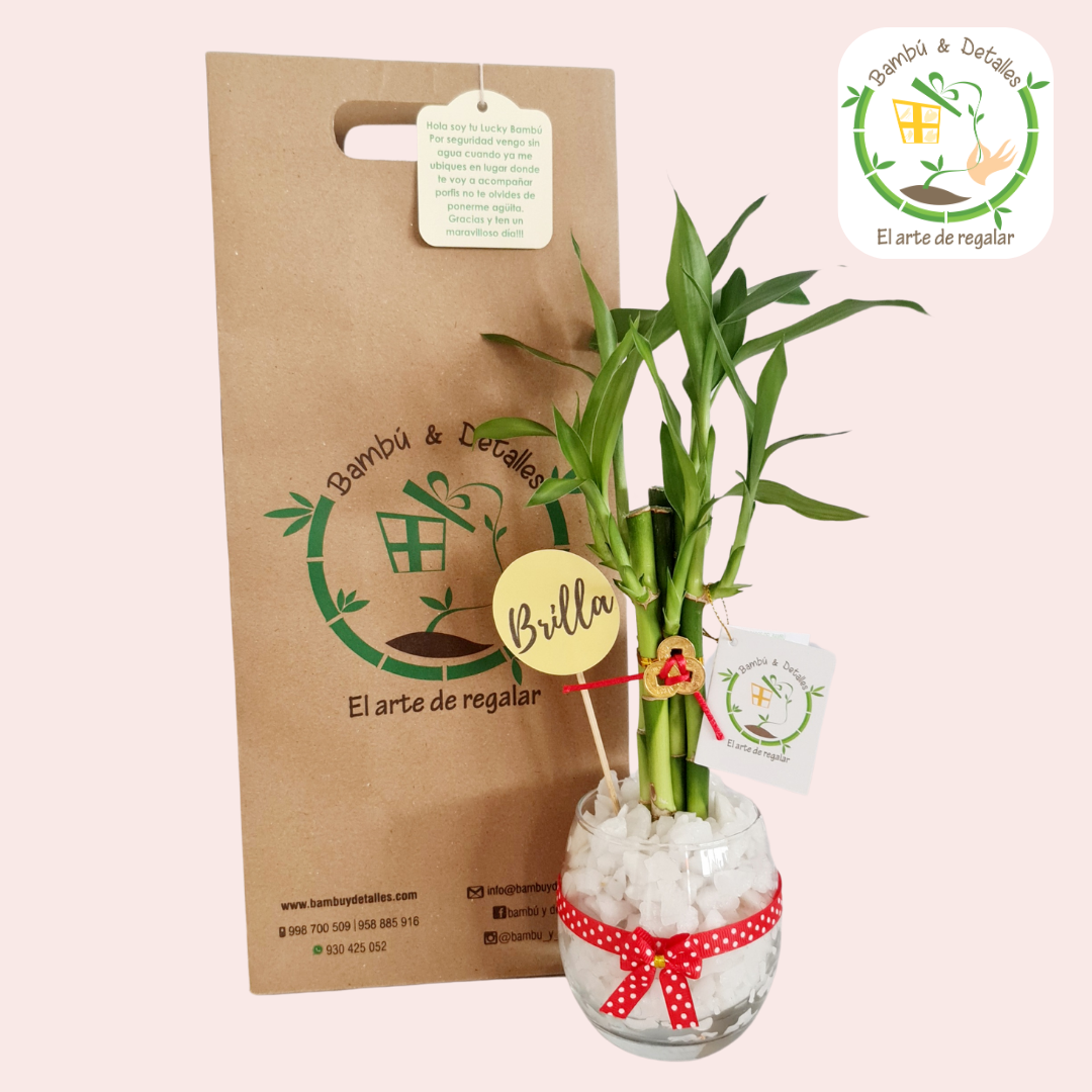 Bambú y Detalles