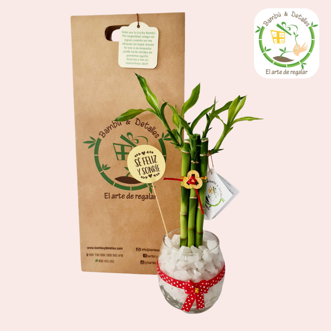 Bambú y Detalles
