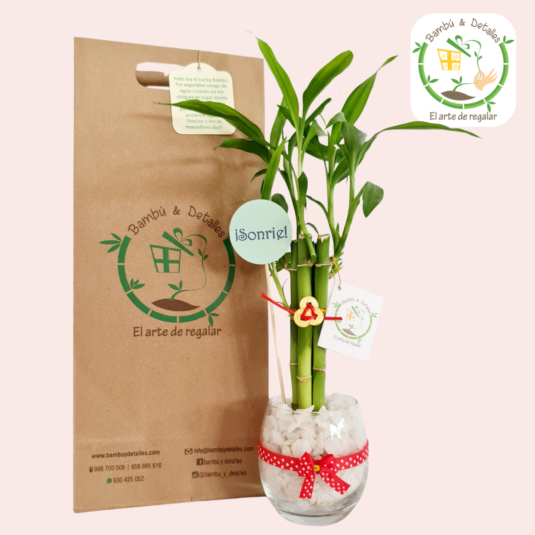 Bambú y Detalles