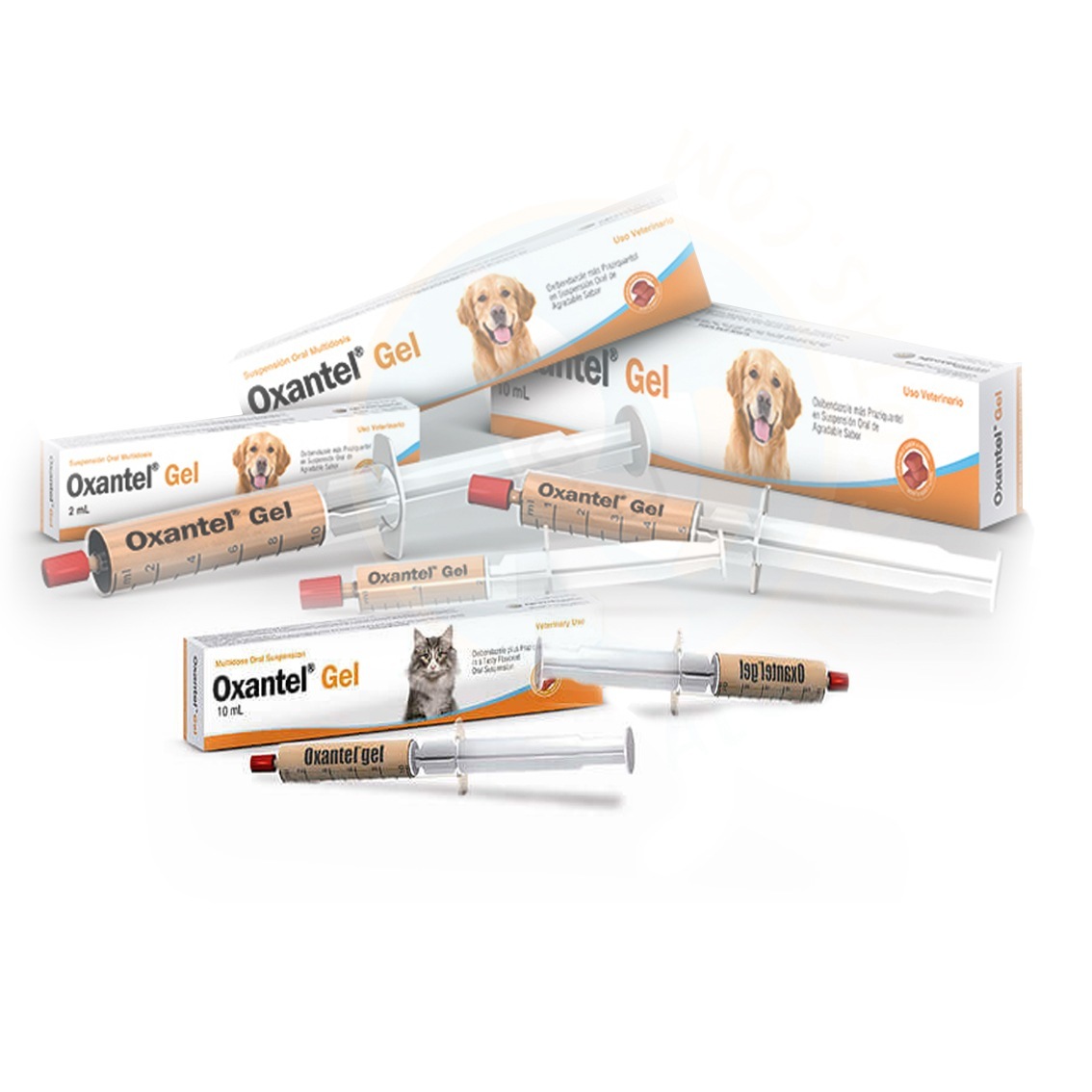 Alomascotas.com: Lo mejor en alimentos, accesorios, articulos ...