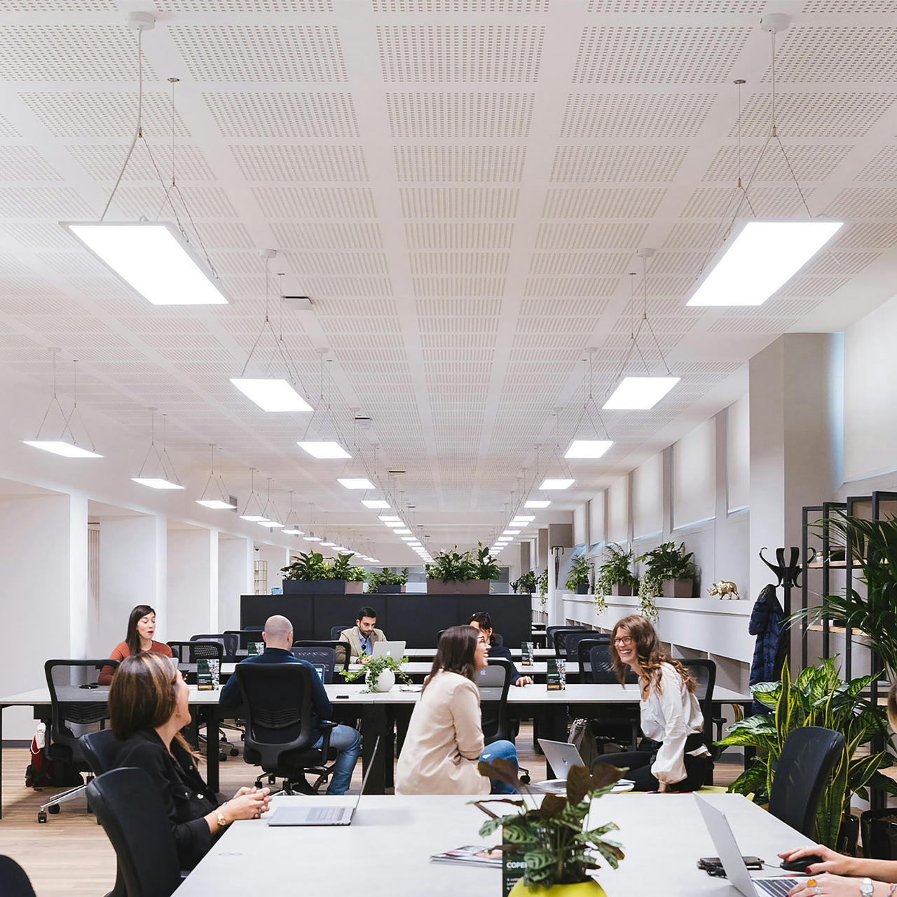 Lo más completo en iluminación para todos tus espacio en un solo lugar ...