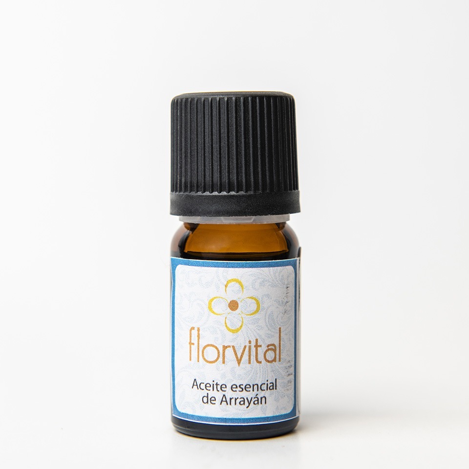 Tienda Ruta del Barroco Andino