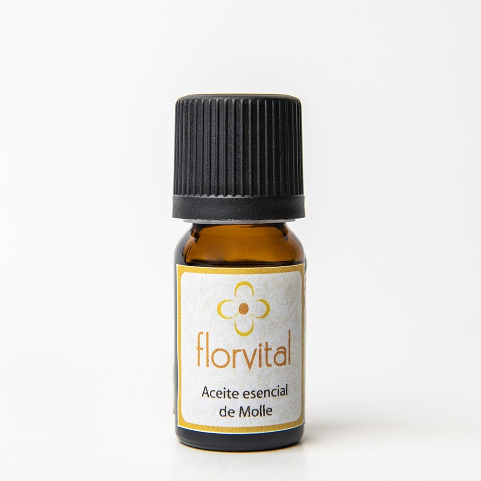 Tienda Ruta del Barroco Andino