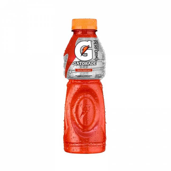 J&E DISTRIBUIDORES : GATORADE 500 ML
